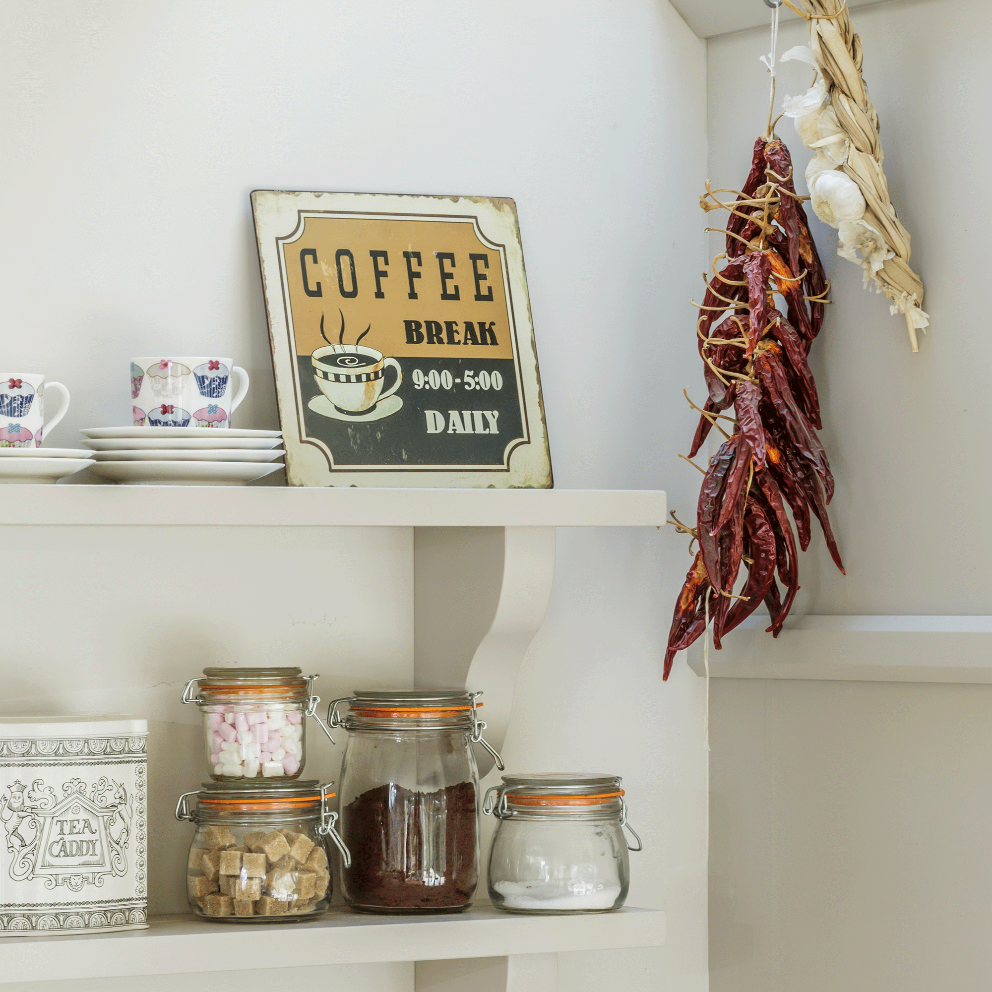 How to grow chillis in pots: a step-by-step guide | Ideal Home