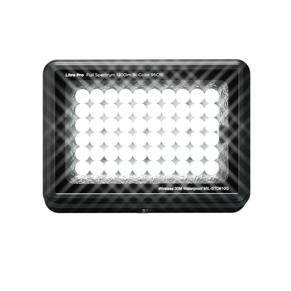 This pro photographer makes incredible macro photographs at 1000 ...