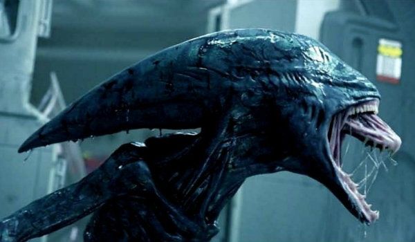 Did Alien: Covenant Create A Massive Plot Hole In Prometheus? | Cinemablend
