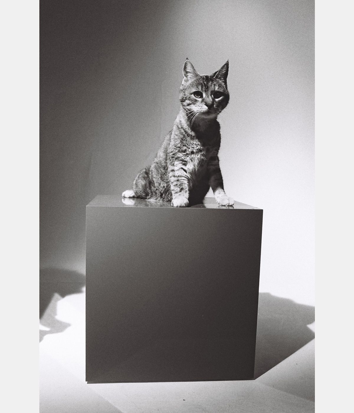 Gabrielle Greiss’ allegorical debut jewellery collection | Wallpaper