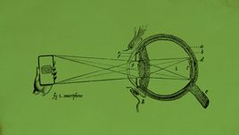 Articles by Devika Rao, The Week US | The Week