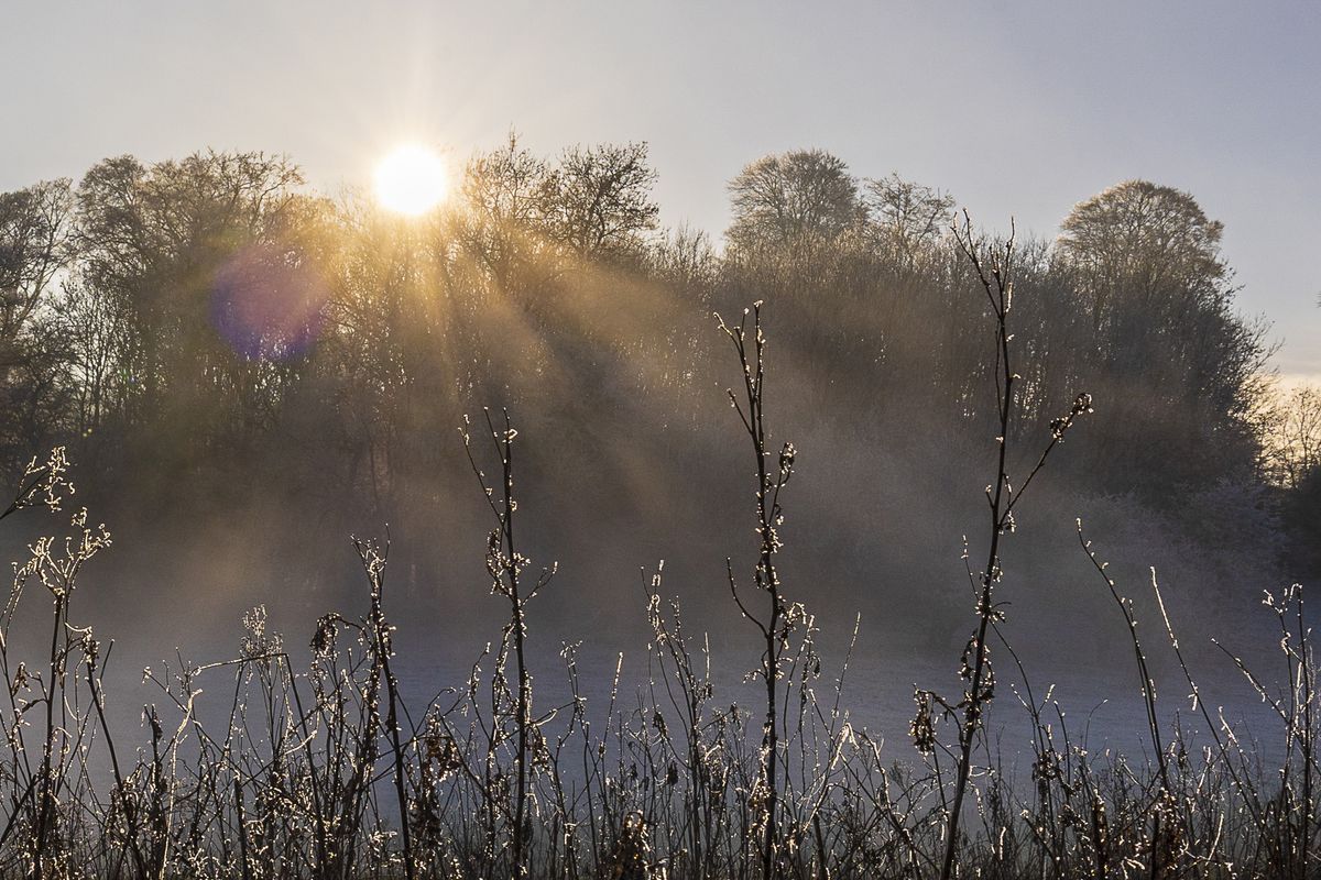 Mist opportunities! How to take top landscape photos in mist and fog ...