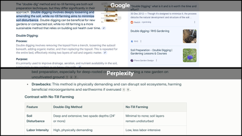 I tested Perplexity vs Google AI overview with 7 prompts — the results ...