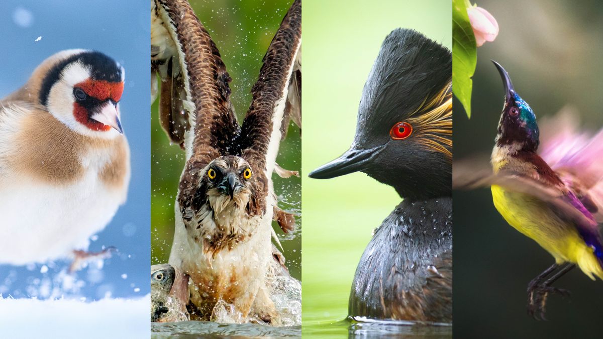 Get a FREE landscape photography e-book with Digital Photographer ...