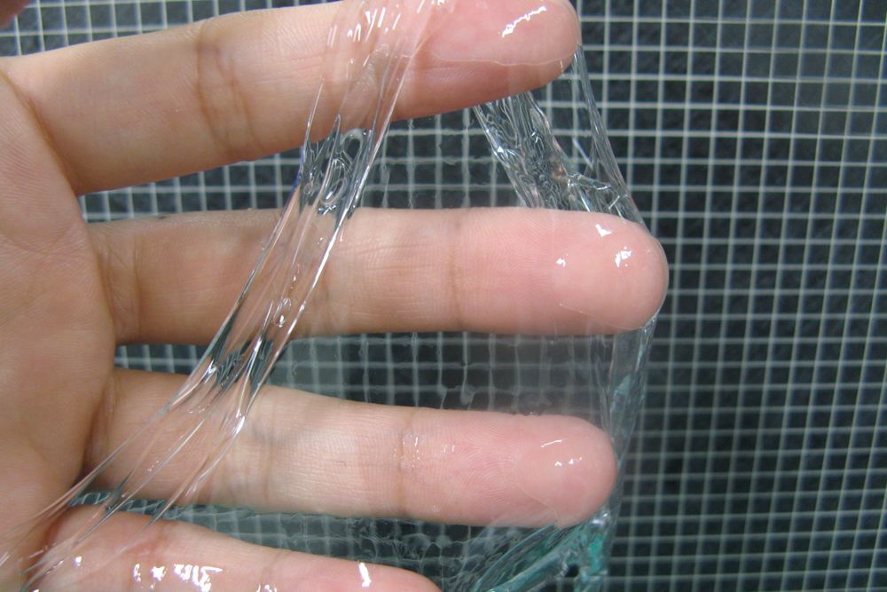 How Hydrogels and Japan Changed a Life | Live Science