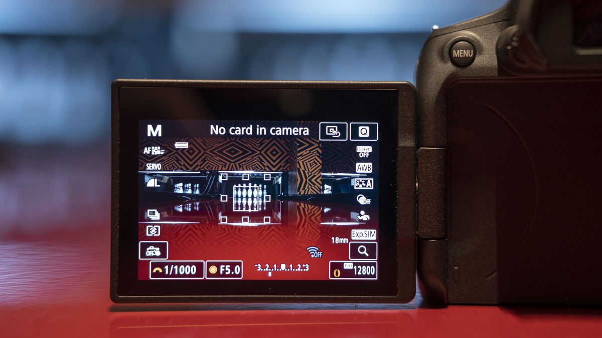 Hands-on Canon EOS R7 review: ultimate hobbyist camera? | TechRadar