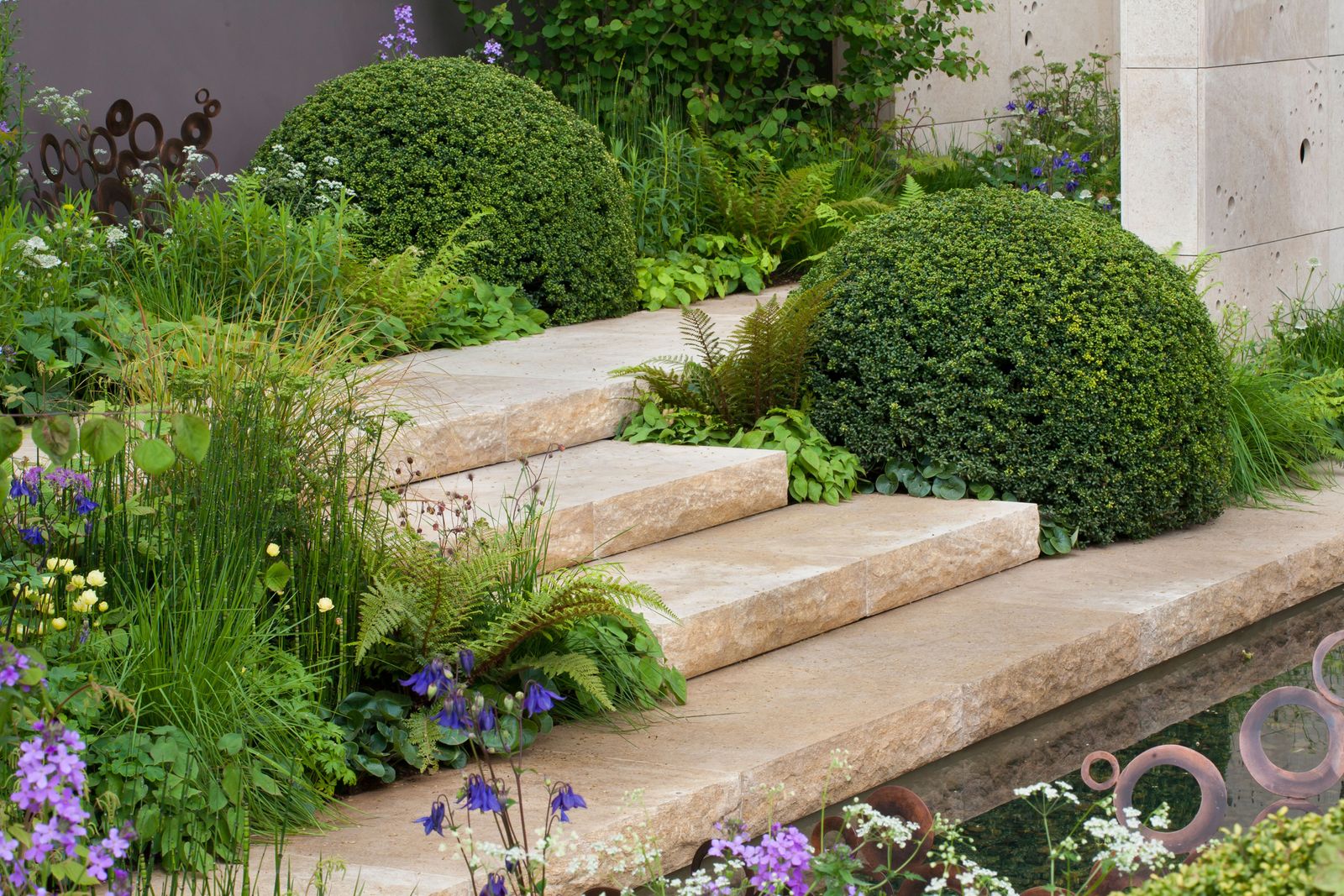 10 fuss-free shrubs for small gardens | Gardeningetc