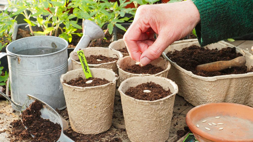 Planting Seeds Made Easy: A Complete Guide To Seed Starting | Gardening ...