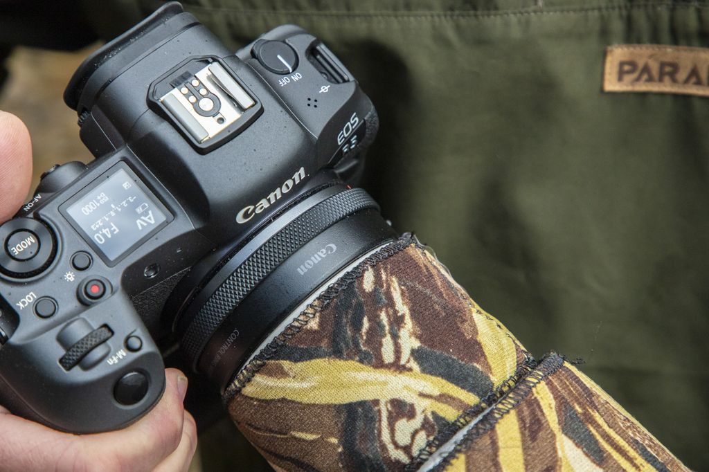 10 pro photo tips for amazing bird portraits with Canon cameras ...