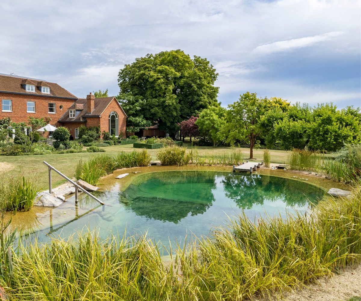 Can you turn a pond into a natural swimming pool? | Homebuilding