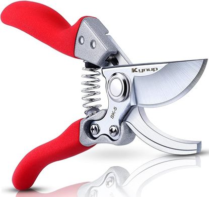 How to prune mimosa: expert maintenance advice | Homes and Gardens