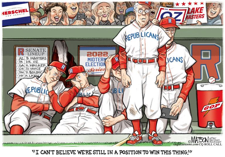 7 brutally funny cartoons about Democrats' grim midterm outlook | The Week