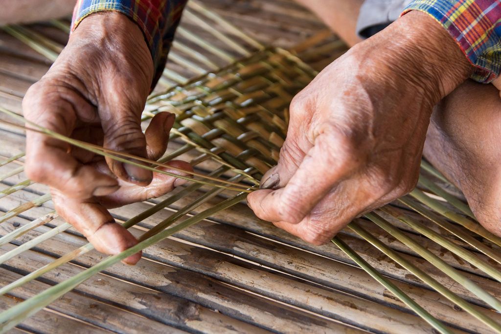 Plants That Can Be Woven: Learn About Weaving Baskets From Plants ...