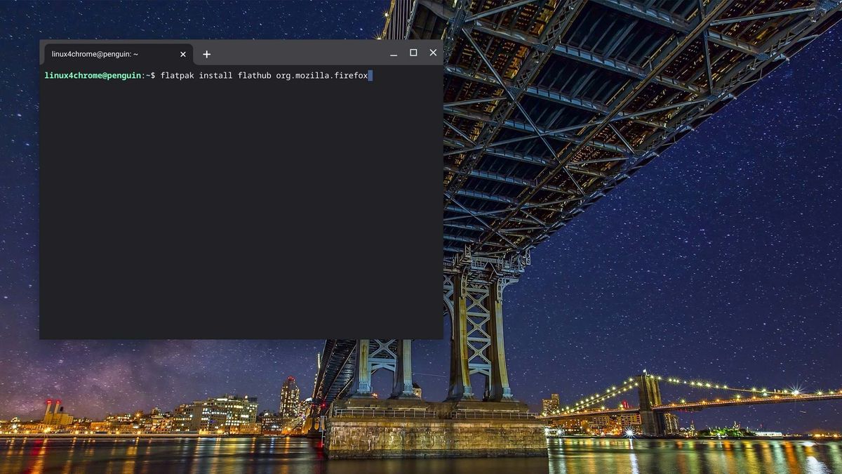 How to install Linux apps on your Chromebook | Laptop Mag