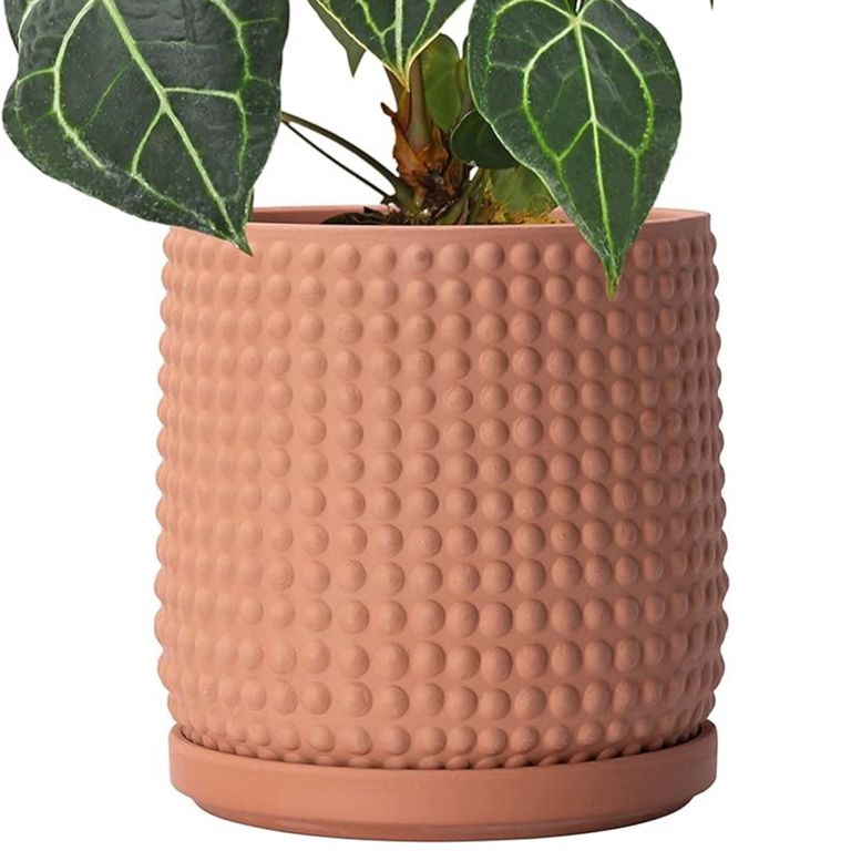 Can you use terracotta planters for houseplants? | Homes and Gardens