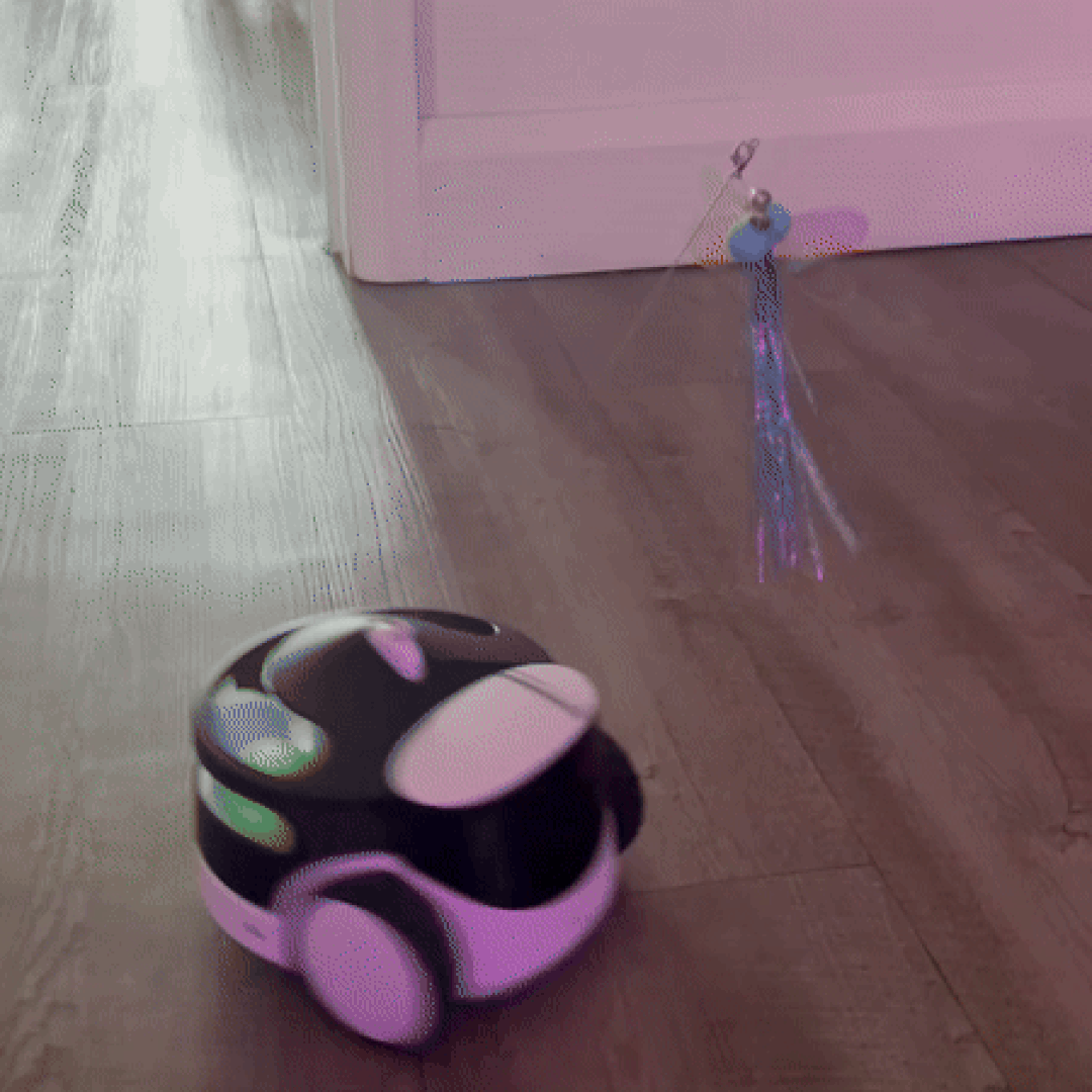 The 6 best automated cat toys, tested and approved by real pet parents ...