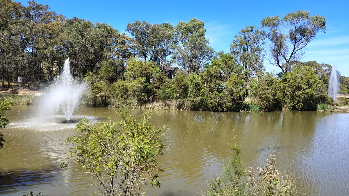 Motorola Edge 50 Fusion review: A stylish, battery-focused budget ...