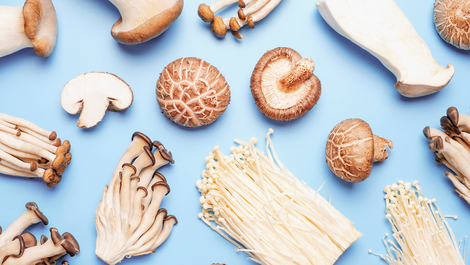 Researchers discover that dehydrated mushrooms can function like ...