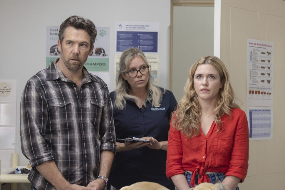 Colin From Accounts: release date, cast, plot, trailer, more | What to ...