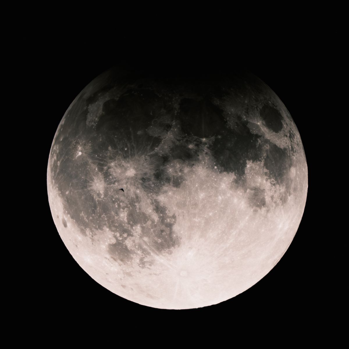 Harvest Moon Supermoon lunar eclipse delights skywatchers worldwide ...