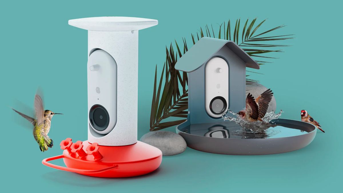 A trail camera for hummingbirds! A bird bath camera! What will they ...