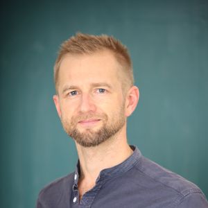 when to plant anemone bulbs for healthy plants