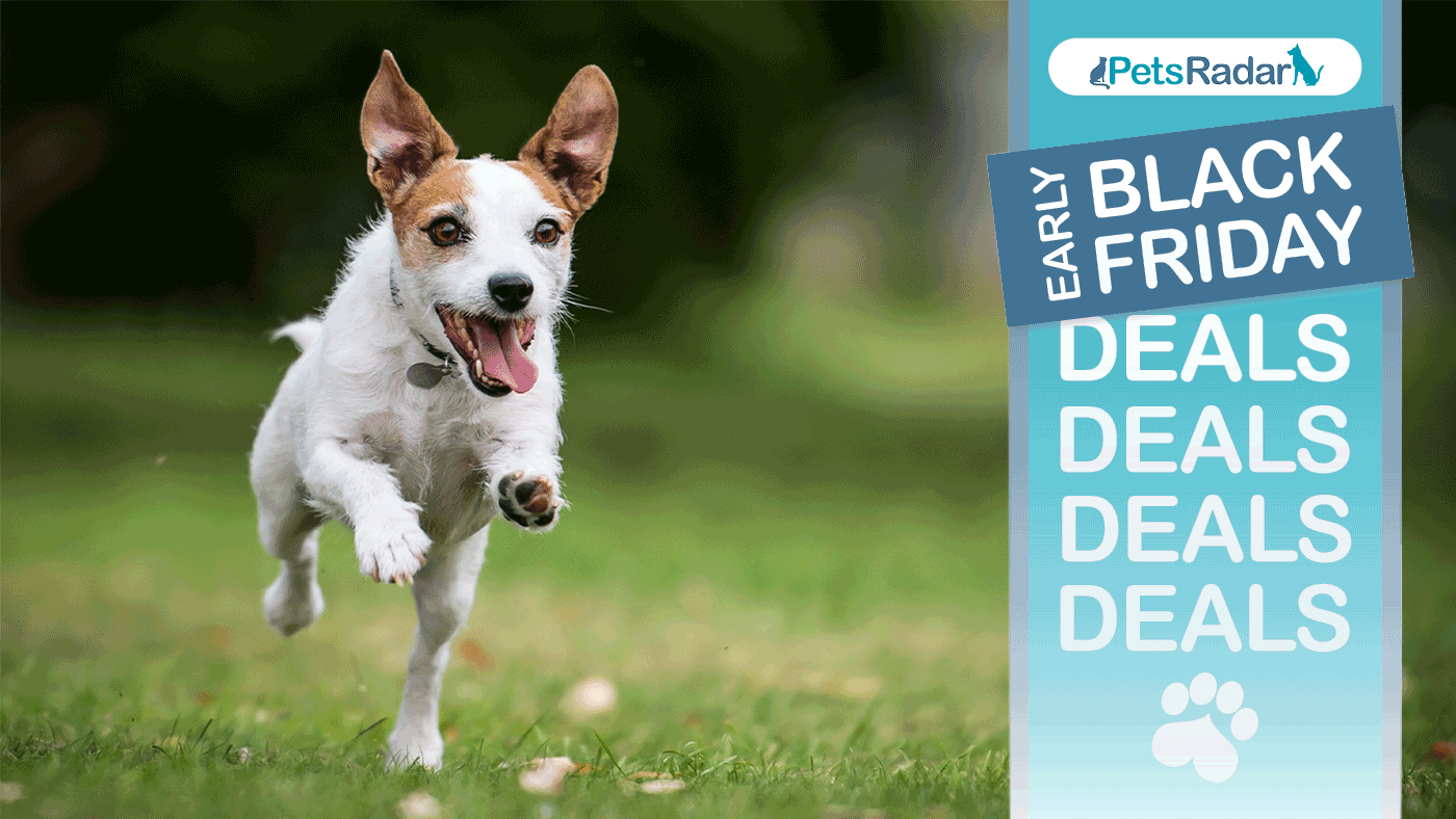 Black Friday dog deals 2026 you don’t want to miss | PetsRadar