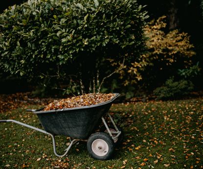 How to winterize a lawn | Homes and Gardens