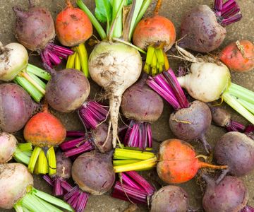 Beetroot growing mistakes: 9 errors to avoid | Homes and Gardens