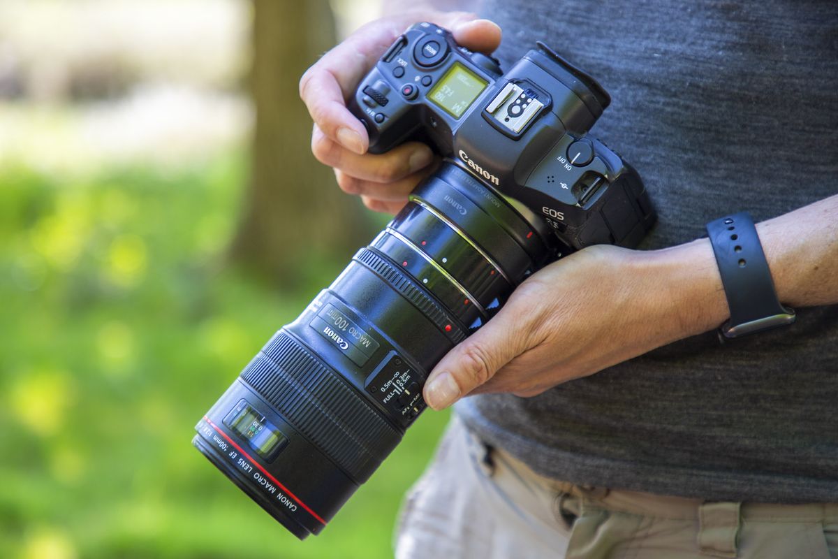 10 pro tips for amazing wildlife and macro shots | Digital Camera World