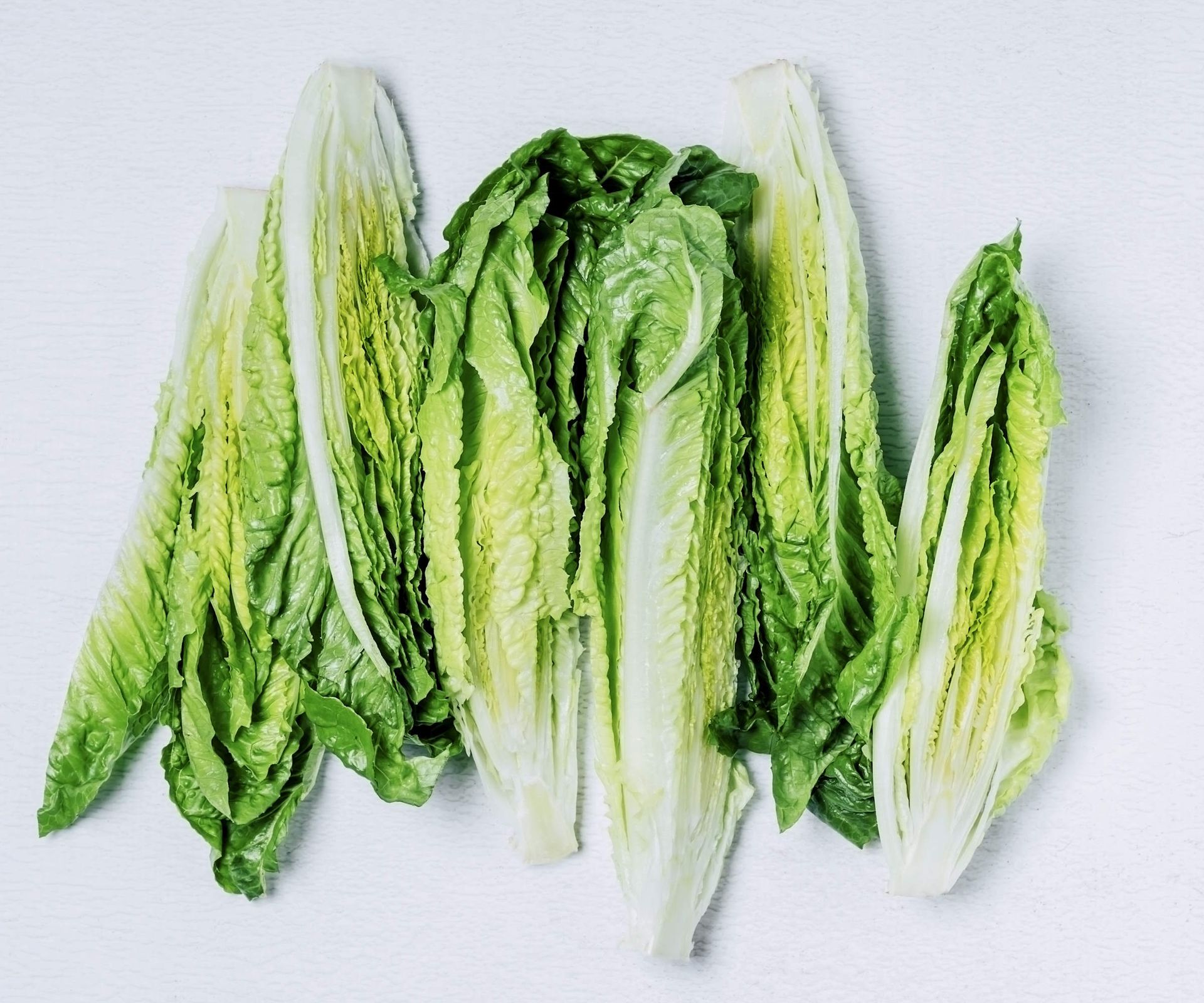 How to grow romaine lettuce - from sowing to harvesting | Homes and Gardens