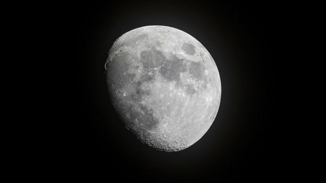 Super telephoto photography tips for Canon’s mighty RF 800mm f/11 lens ...