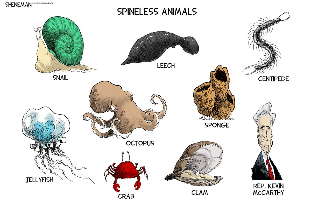 Spineless animals | The Week