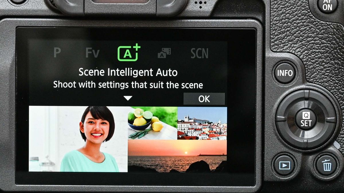 Canon EOS R8 review | Tom's Guide