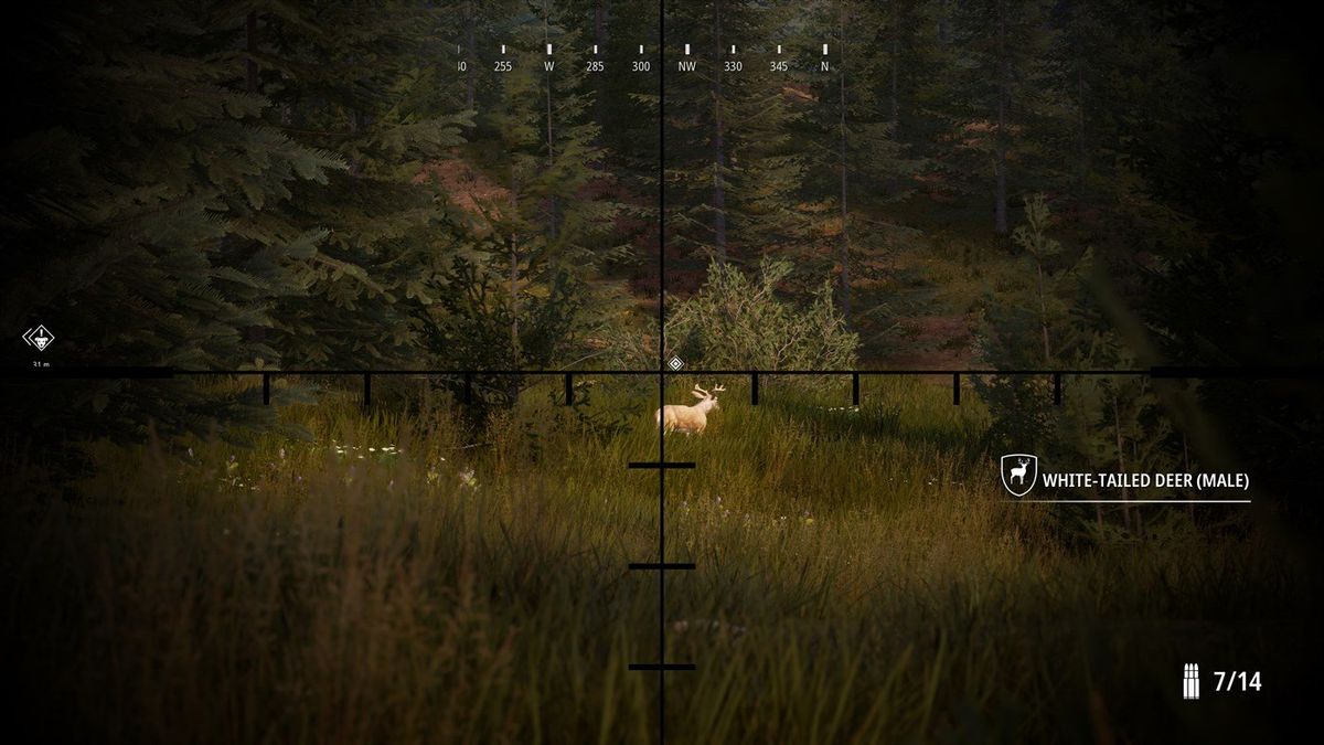 Hunting Simulator 2 on Xbox One review: Is this open-world shooter ...