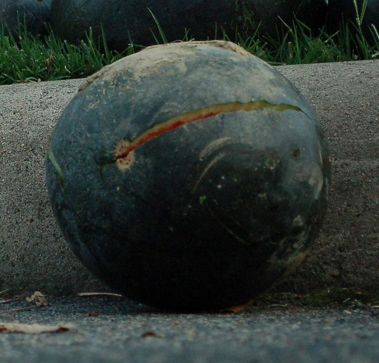 Bursting Watermelon Fruit - What Causes Watermelons To Split Open On ...
