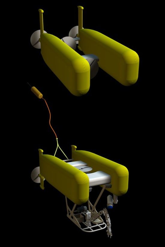 In Photos: ROV Explores Deep Ocean Trench | Live Science