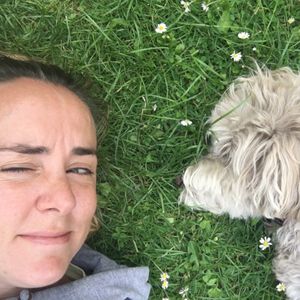 How to mount a GoPro on a dog | PetsRadar