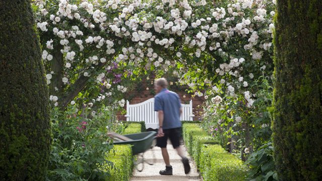 Best of Britain: Rose gardens | Country Life