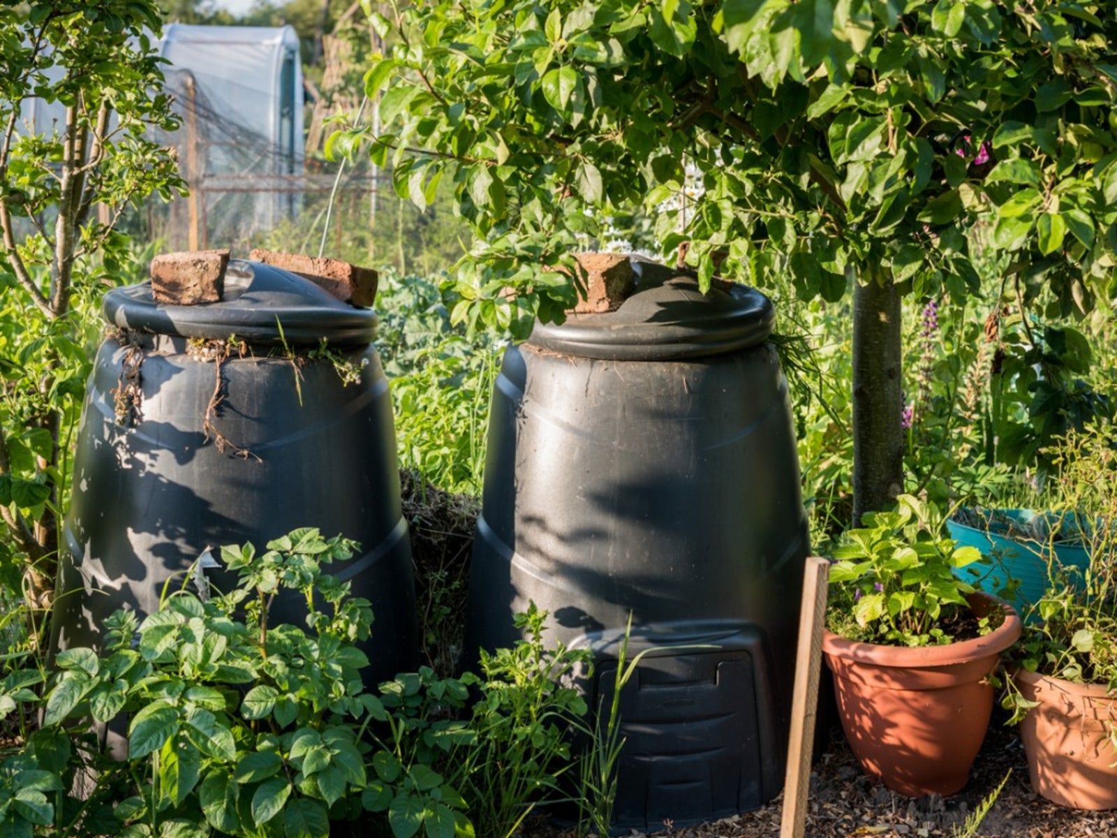 Compost Not Heating Up: How To Heat Up A Compost Pile | Gardening Know How