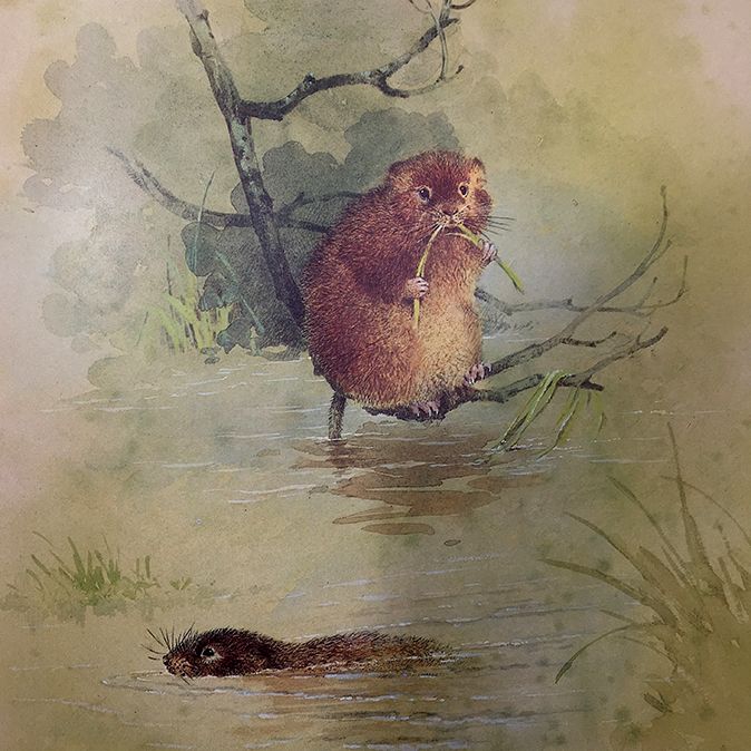 Gordon Beningfield: A celebration of the artist and champion of the ...