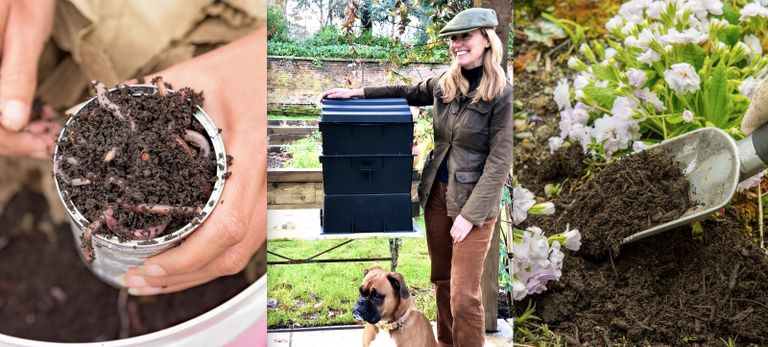 Why I wanted a wormery for compost – and how it's transformed my veg ...
