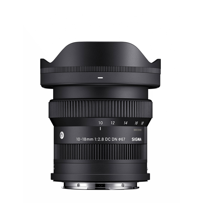 Best Sony lenses 2025: top lenses for Sony mirrorless cameras | TechRadar