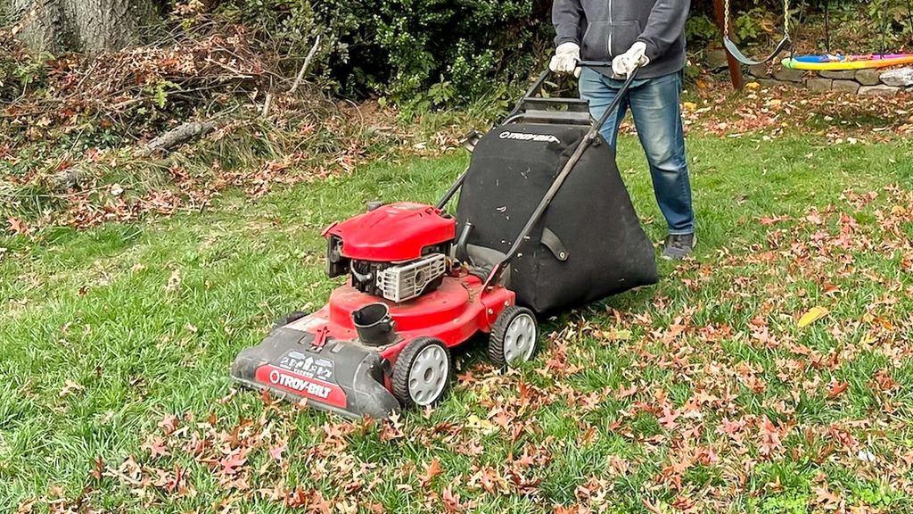 I've been using this leaf vacuum in my yard — and it's a game changer ...