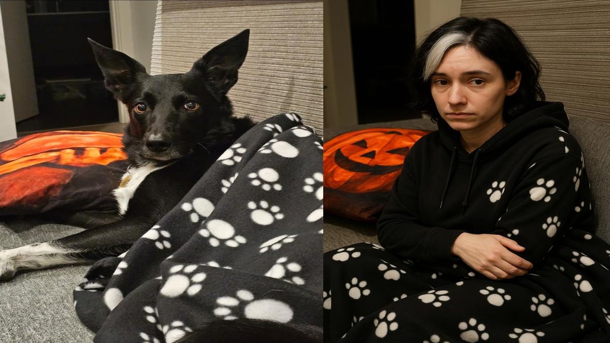 I just turned dogs into humans using this viral ChatGPT trend — here's ...