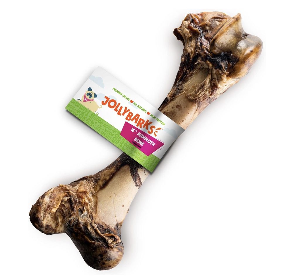 Best long lasting dog chews 2025 to keep your dog occupied | PetsRadar