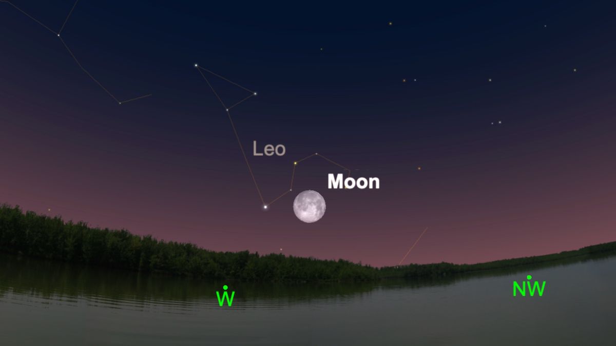 February full moon 2022: The 'Snow Moon' is accompanied by predawn ...