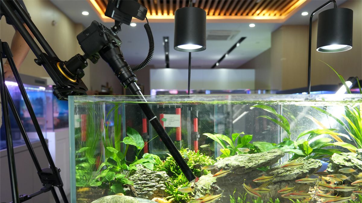 Bizarre lens alert: the macro probe lens club gets a new member ...