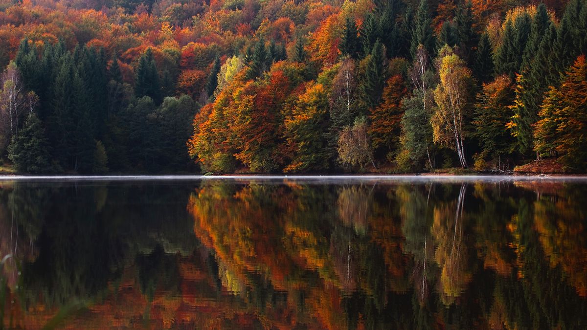 10 fall-proof steps to amazing autumn photographs | Digital Camera World