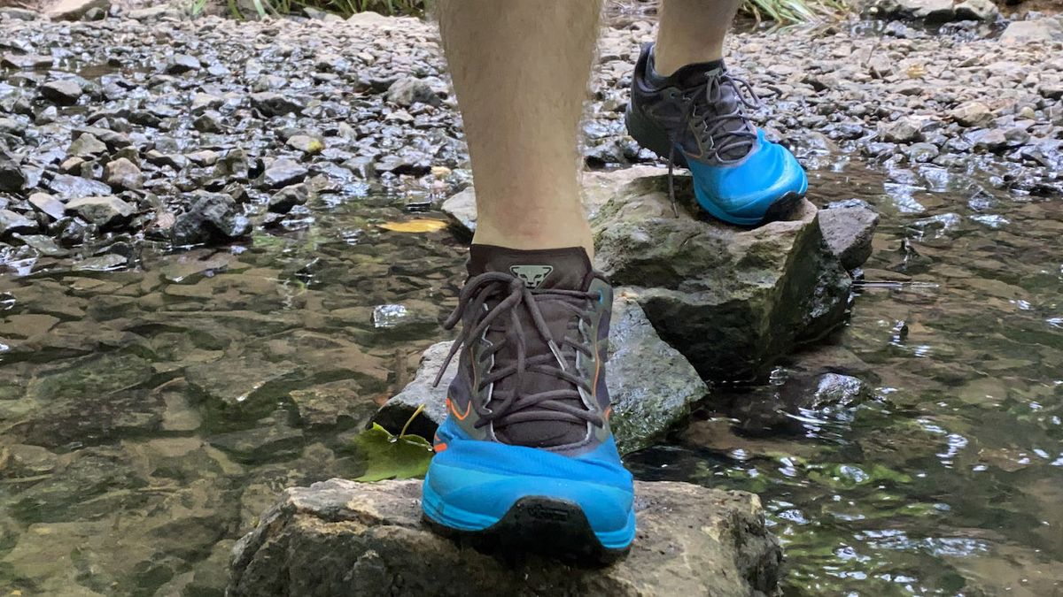 Dynafit Alpine Running shoe review: a quality, lightweight all-rounder ...